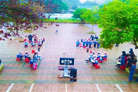 Tin Tức Hình ảnh Video Clip Mới Nhất Về Trường Học Xanh Sạch đẹp An