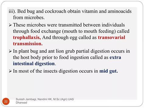 Digestive System In Insects Pptx
