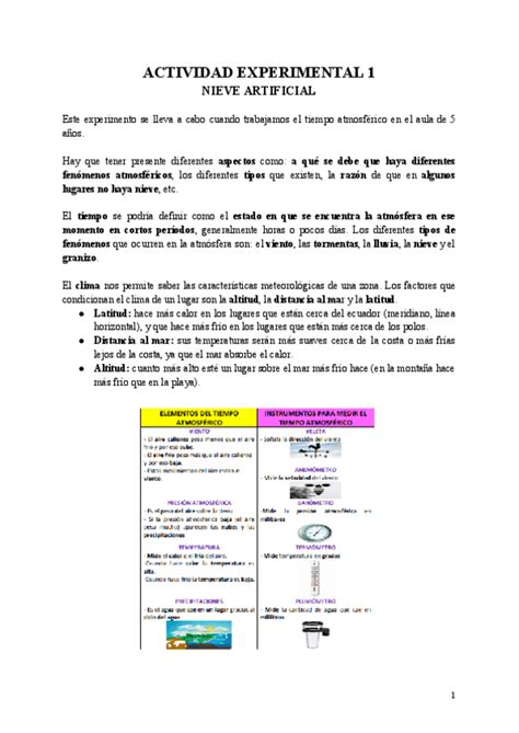 Proyecto Experimental Pdf