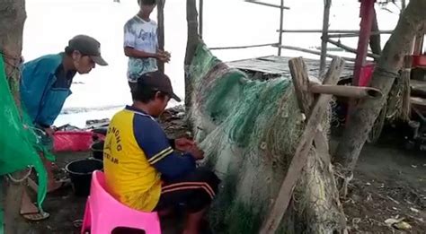 Cerita Nelayan Pemalang 2 Bulan Tak Melaut Akibat Cuaca Ekstrem Cari