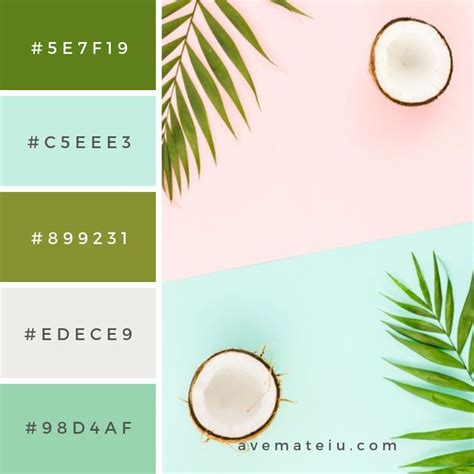 Tropical Color Palette Hex Codes