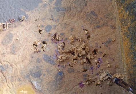 蒸发结晶器 低温真空结晶器 低温蒸发器 热泵低温蒸发器 润蓝水处理官网