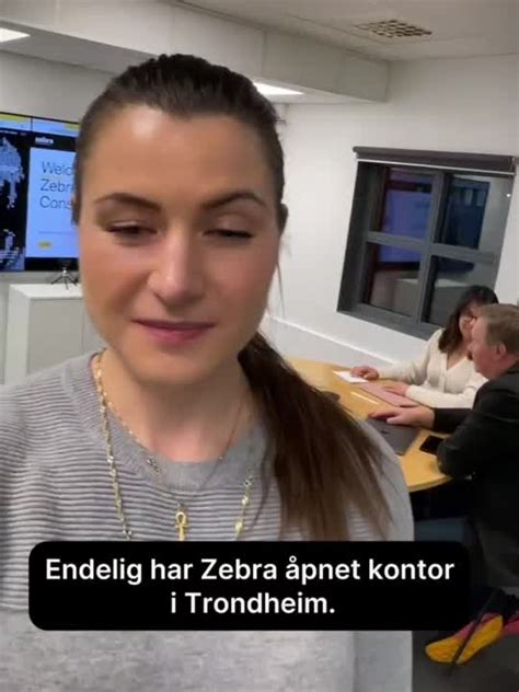 Zebra Consulting On Linkedin Blackbox