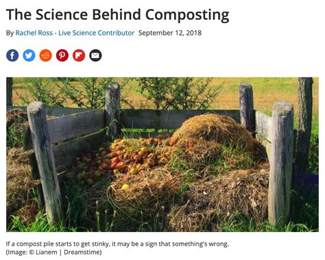 The Science Behind Composting