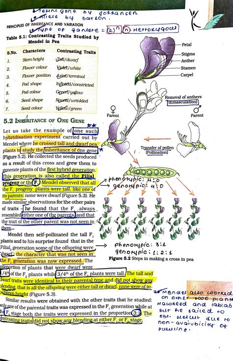 SOLUTION Unlocking The Genetic Code A Comprehensive NCERT Marking