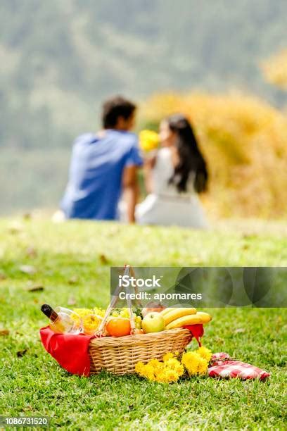 편안 하 고 사랑 라틴어 행복 한 커플 공원에서 피크닉을 즐기는 20 24세에 대한 스톡 사진 및 기타 이미지 20 24세 공원 공유 개념 Istock