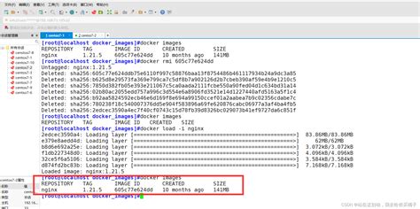 【云原生】docker的初步认识，安装与基本操作【云原生 Docker篇】轻松学会原理架构安装加速一 Csdn博客