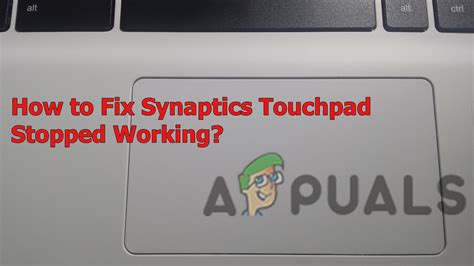 synaptics touchpad not working try these fixes