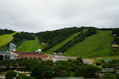 가족여행으로 다녀온 홍천 소노벨 비발디파크 오션월드셔틀버스 네이버 블로그