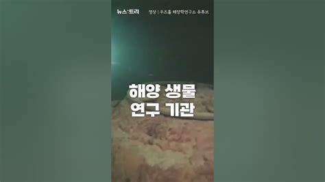 불후의 명작 타이타닉 실제 모습‥37년 만에 공개 Youtube