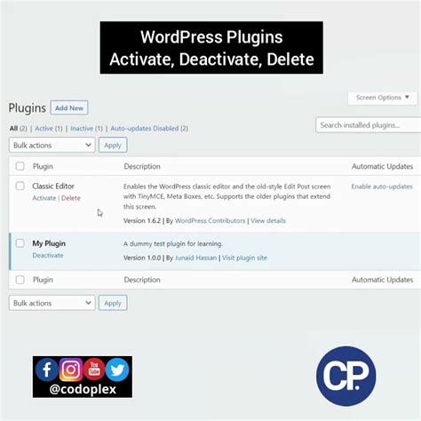 Activate Deactivate Delete A Wordpress Plugin Learn Wordpress In