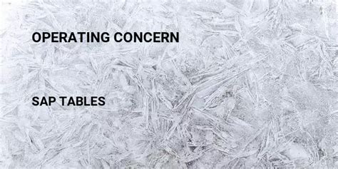 Operating Concern Table In Sap