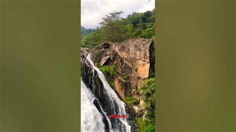 දුවිලි ඇල්ල Youtube