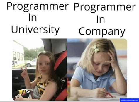 Programmer In University Vs Programmer In Company Rprogrammerhumor