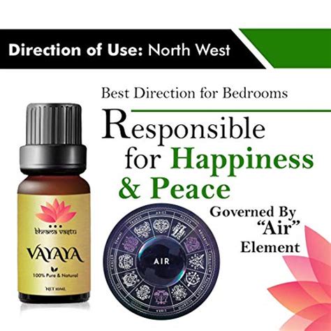 Bhramavastu 6 Directions Vastu Essential Oils Bhramavastu