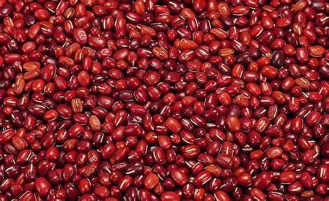 「南瓜和紅豆一起煮」皺紋變淡了「皮膚紅潤潤」身體越來越輕盈