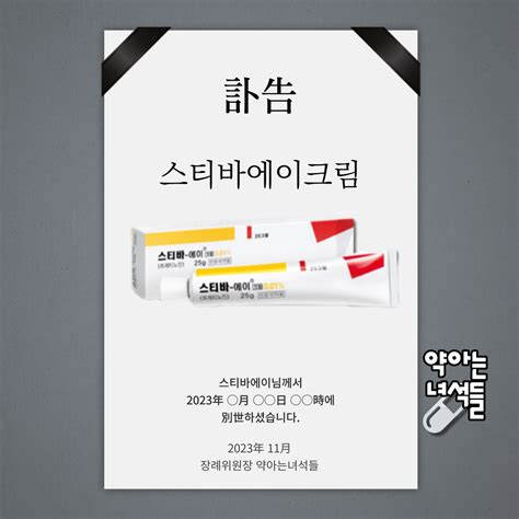 스티바에이크림이 떠난 빈자리 대체 가능한 약은약사가 정리해드림