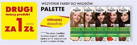Promocja WSZYSTKIE FARBY DO WŁOSÓW PALETTE w Biedronka