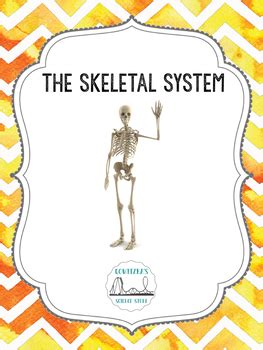The Skeletal System Unit Plan By Gowitzka S Science Stuff TPT