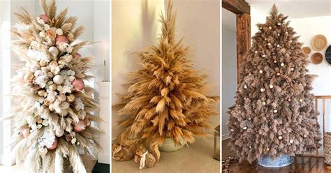 Dried Up Christmas Tree