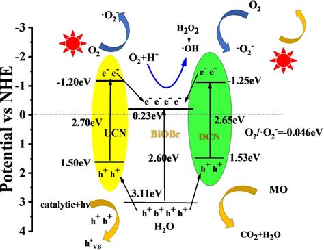 In Situ Construction Of Porous G‐c3n4 Isotype Heterojunction Biobr