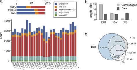 Genome Variation And Darkcamouflaged Regions A Snps Indels And