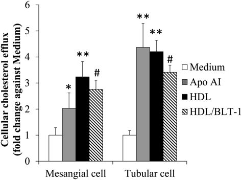 cellular cholesterol efflux from mesangial cells and tubular cells to