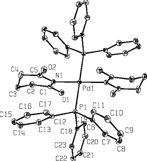 Ortep Diagram Of Complex 5a With The Atom Numbering Scheme Thermal