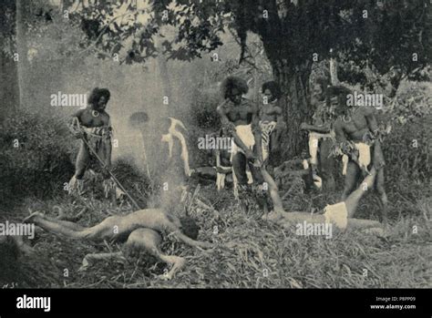 A Cannibal Feast In Fiji Stock Photo Alamy