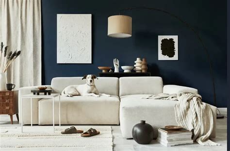 Behr Starless Night Ppu14 20 35 Real Pictures
