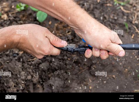 Installation Of A Drip Irrigation System For The Garden A Man Connects Reinforcement From A
