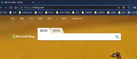 打开谷歌浏览器后出现的都是百度搜索页面，该如何更换？请看下文 哔哩哔哩