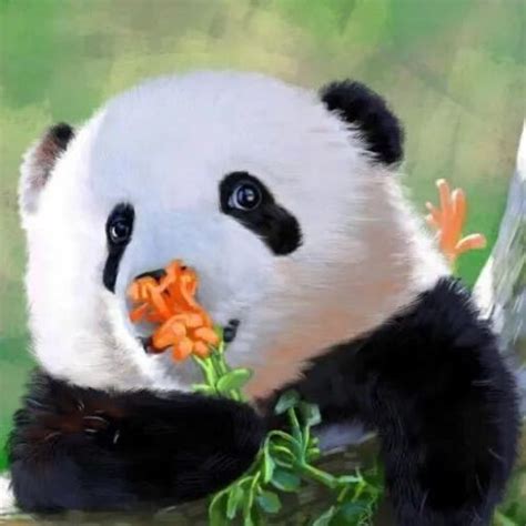 Xiaopeng Zhang National Center For Nanoscience And Technology Beijing Ncnst Department Of