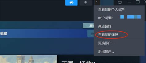 Steam Uu