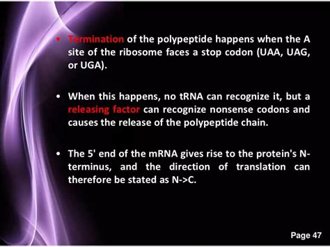 13 Protein Synthesis And Targeting Biochemistry Ppt