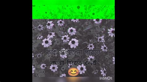 16 May 2023 Youtube