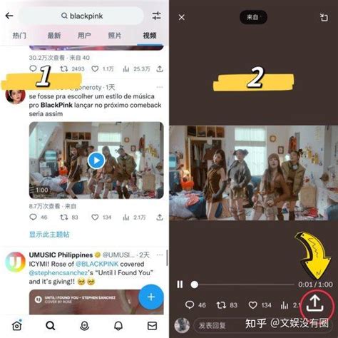 Twitter推特视频下载神器复制链接一键下载精彩视频统统收入囊中 知乎