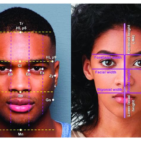 A The Ratio Of Facial Width To Bigonial Width R7 112 In Males