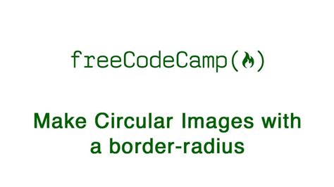 Basic Css Make Circular Images With A Border Radius Freecodecamp