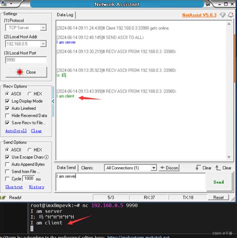 Nc网络收发测试 Tcp客户端tcp服务器udpudp广播nc Tcp Server Csdn博客