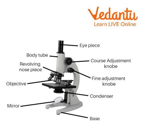 Key Microscope Functions Parts Uses Babe Guide