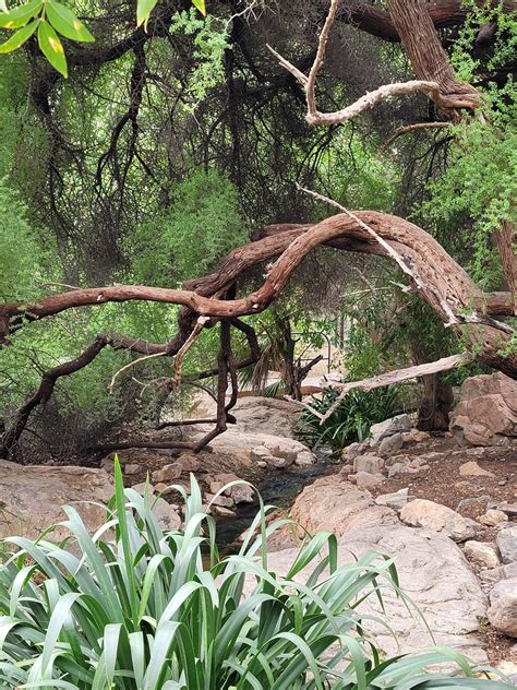 Sonoran Desert Museum Rtucson