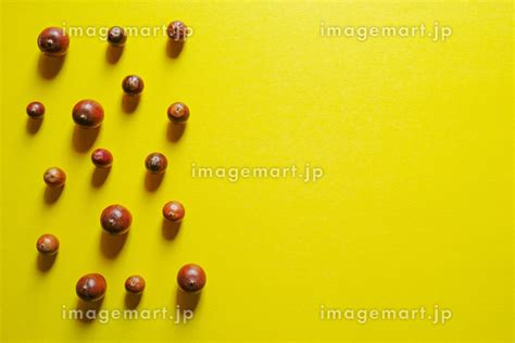 黄色い紙の上に置いたドングリのグループ。秋のイメージ。の写真素材 146421768 イメージマート