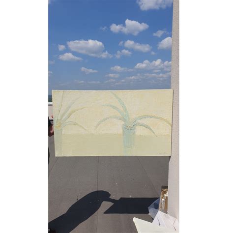 Купить картину Алоэ в Москве от художника Веселик Юрий