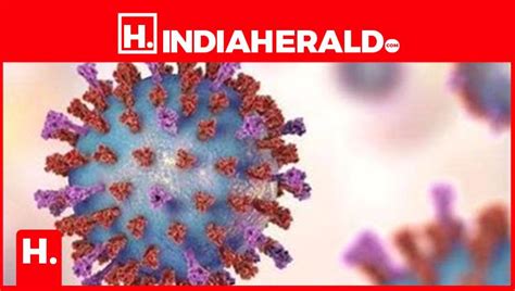 राज्यातील एकूण रुग्ण संख्या 39 वर आरोग्यमंत्री राजेश टोपे