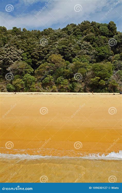 Golden Beach At The Abel Tasman National Park Stock Image Image Of