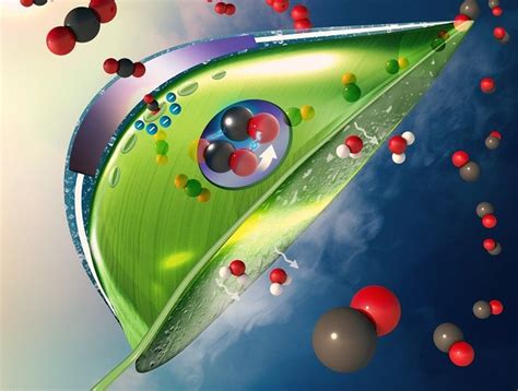 Scientists Build Artificial Leaves That Can Absorb Carbon Dioxide