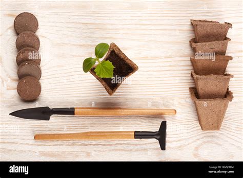 Gardening Tools And Seedlings Stock Photo Alamy