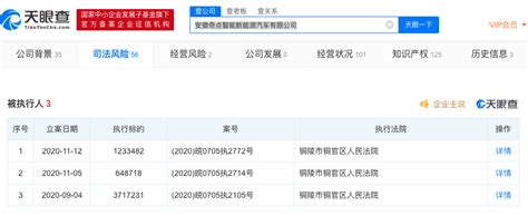 奇点汽车关联公司成被执行人，累计执行标的超559万搜狐汽车搜狐网
