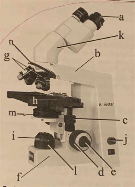 Microscope Labeling Diagram Quizlet Microscope Labeling Diagram Quizlet